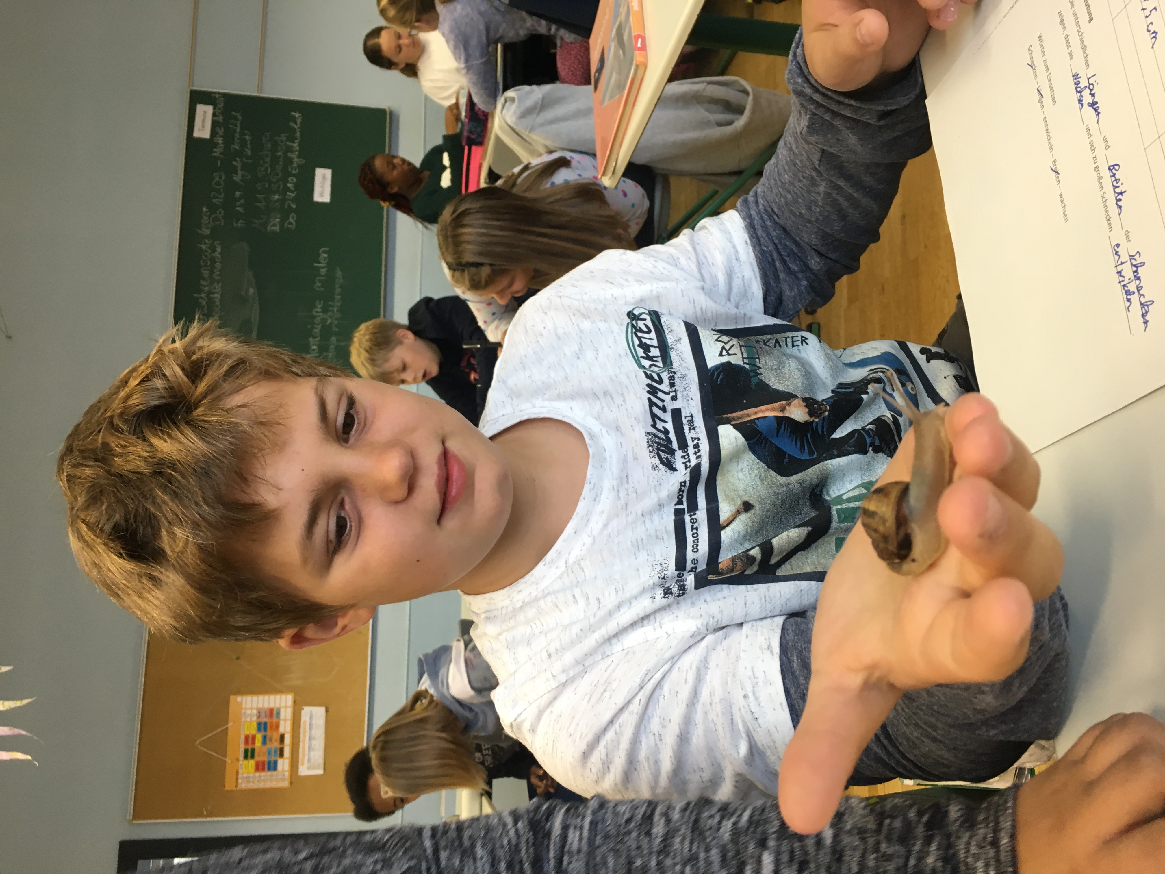 ARS-FB - Sekundarstufe